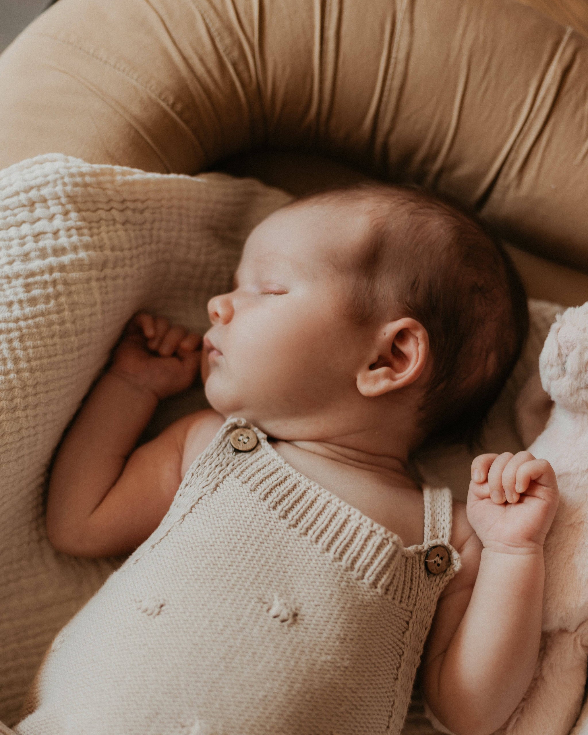 Baby Nest - Beige – Petit Filippe